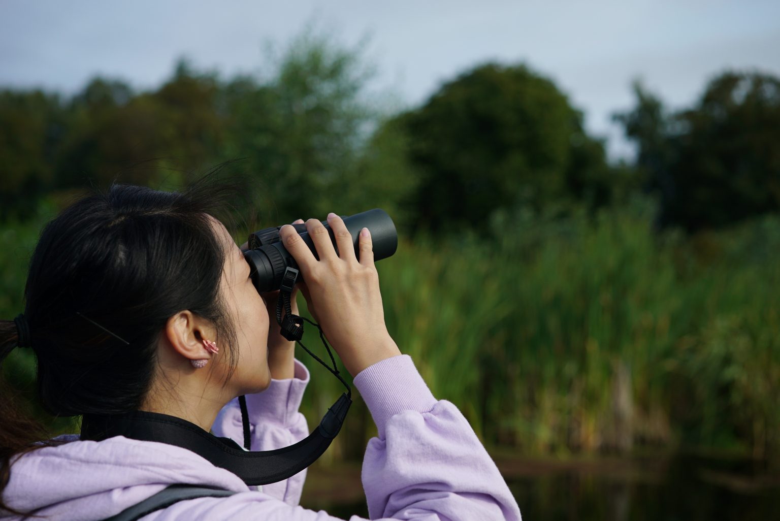 Birding 101: Identifying Birds By Sound - The BC Bird Trail