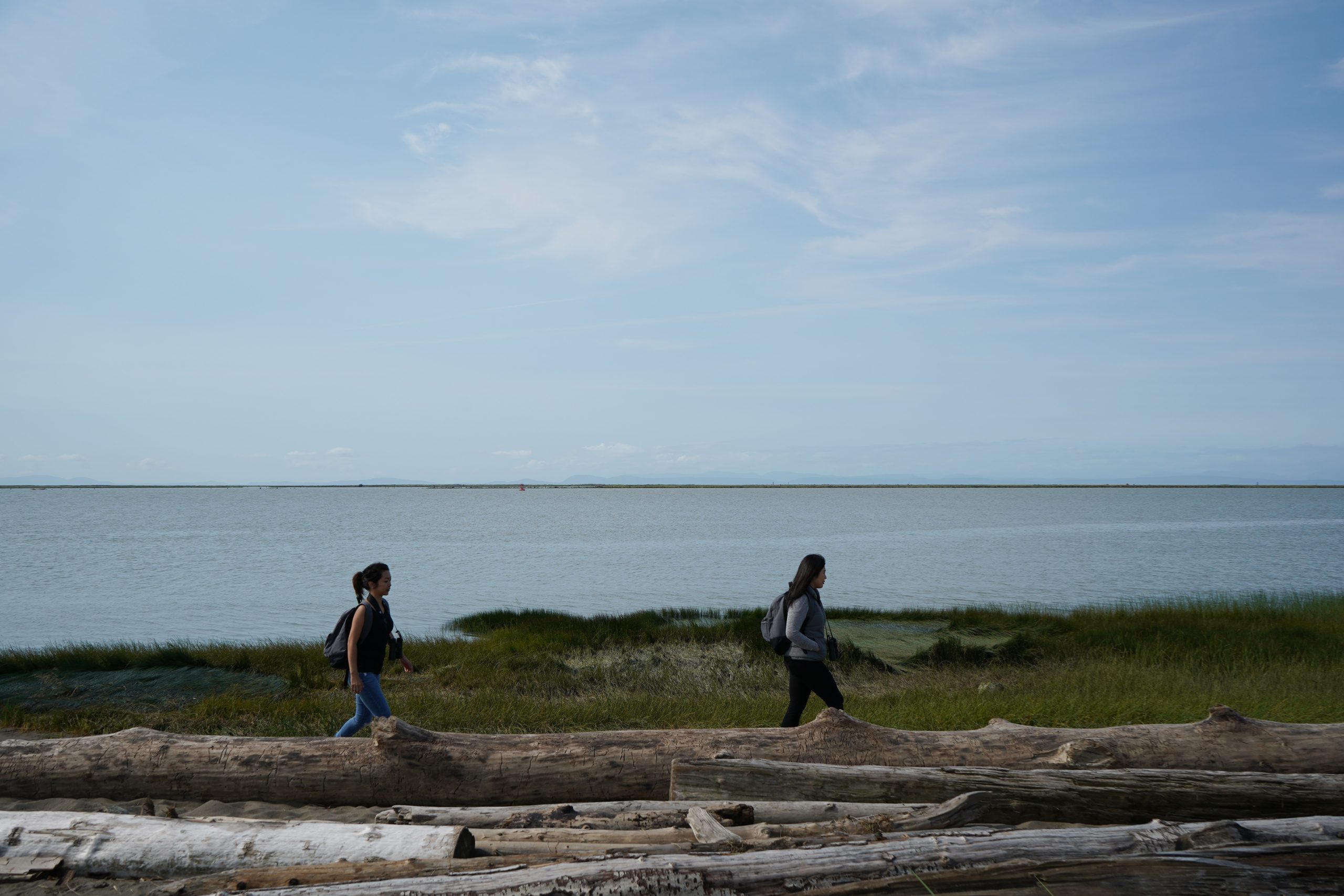 Exploring the South Fraser Bird Trail - The BC Bird Trail