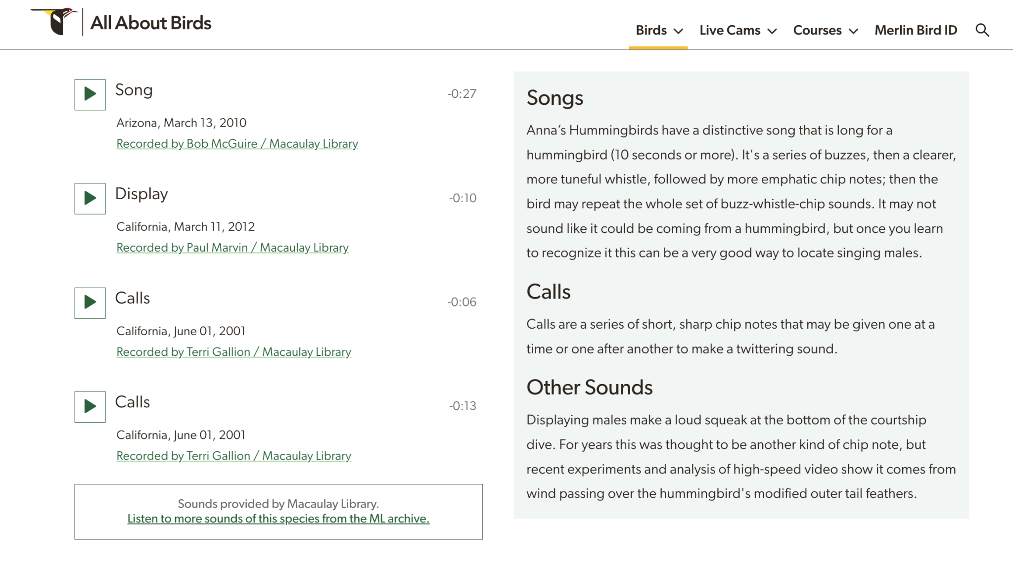Birding 101: Identifying Birds By Sound - The BC Bird Trail