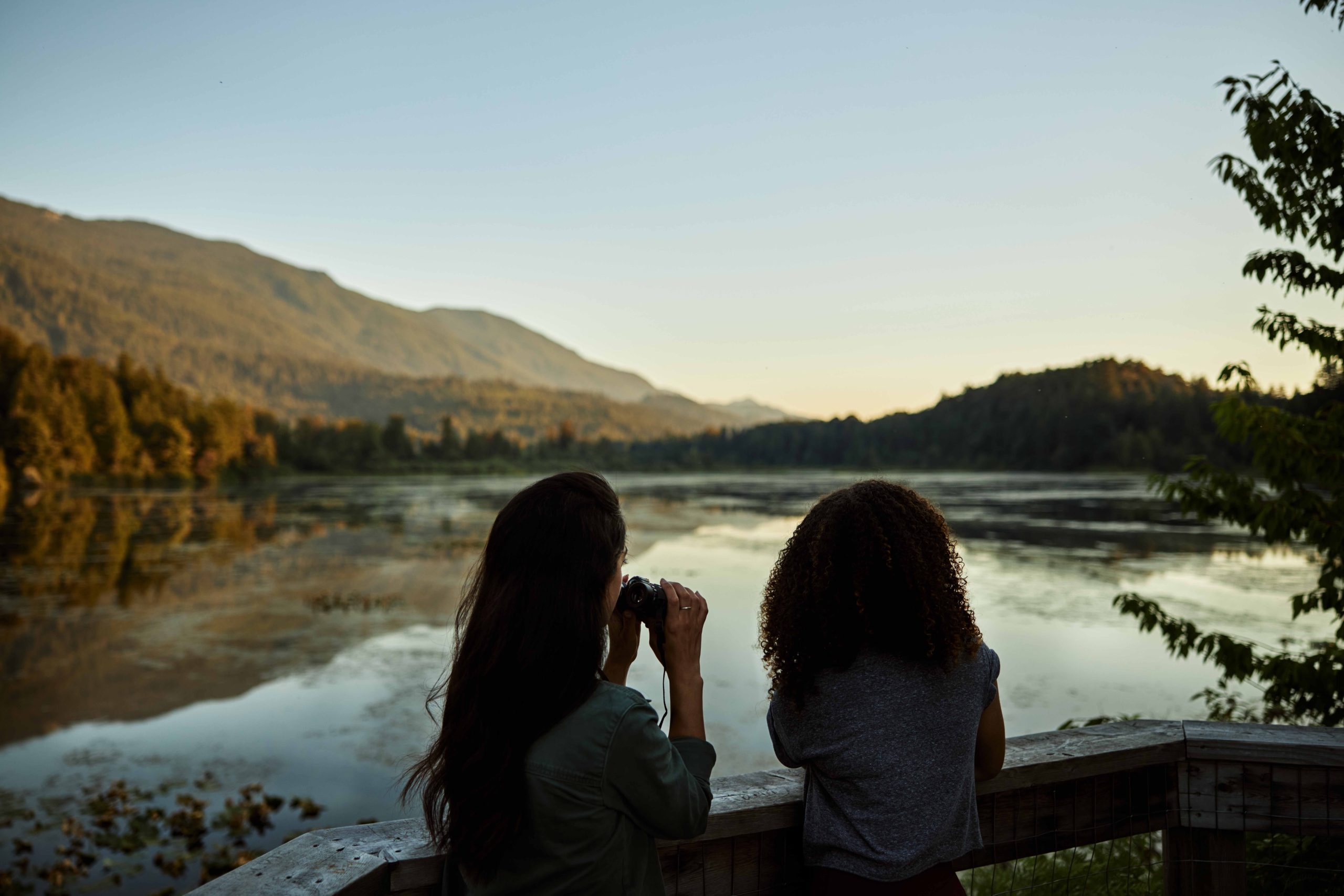 BC Birding in Summer - The BC Bird Trail
