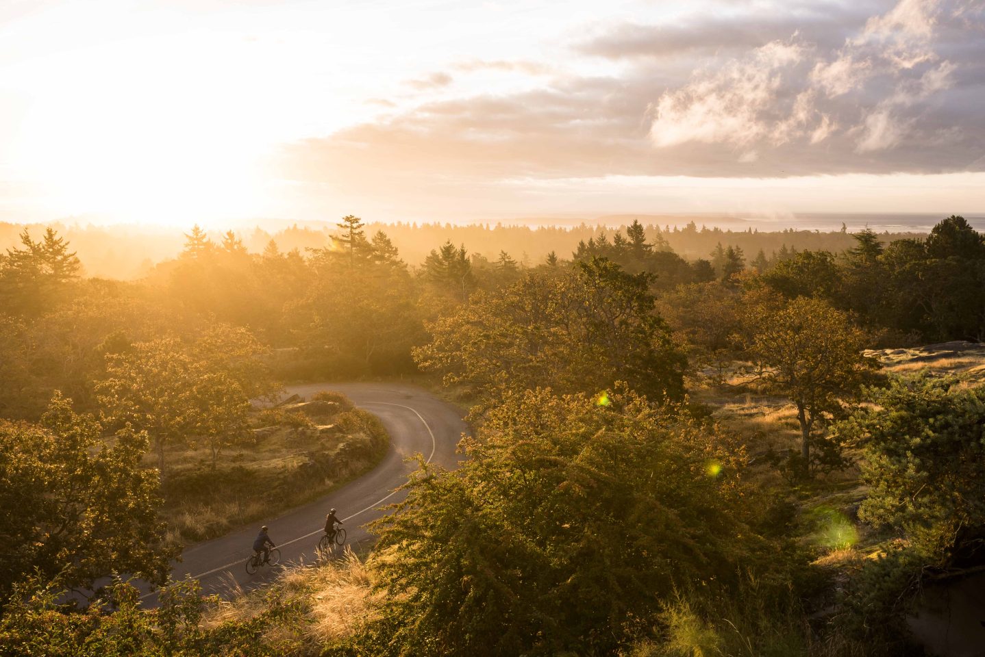 BC Birding in Summer - The BC Bird Trail