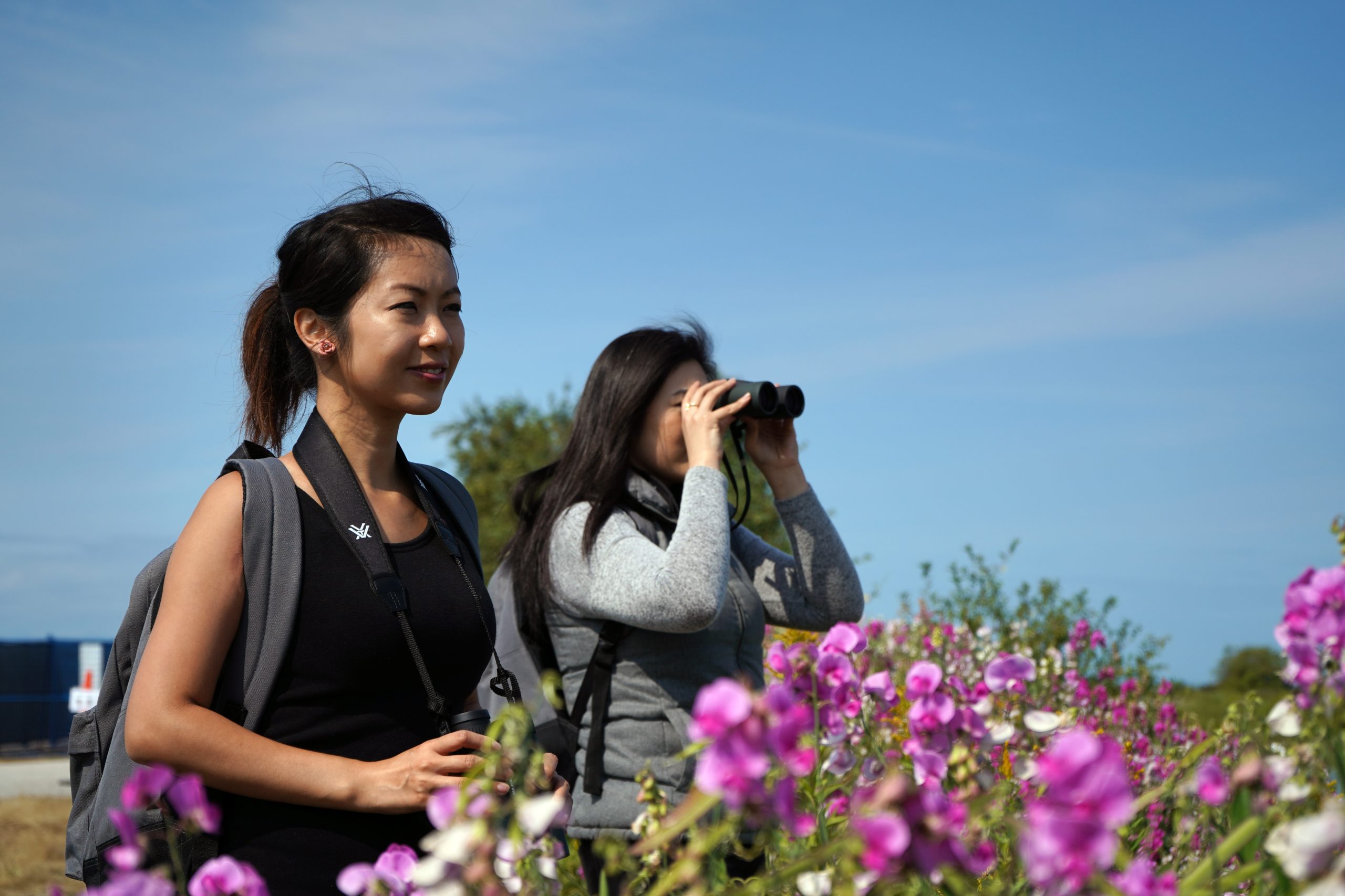 Birding Adventures From Vancouver - The BC Bird Trail