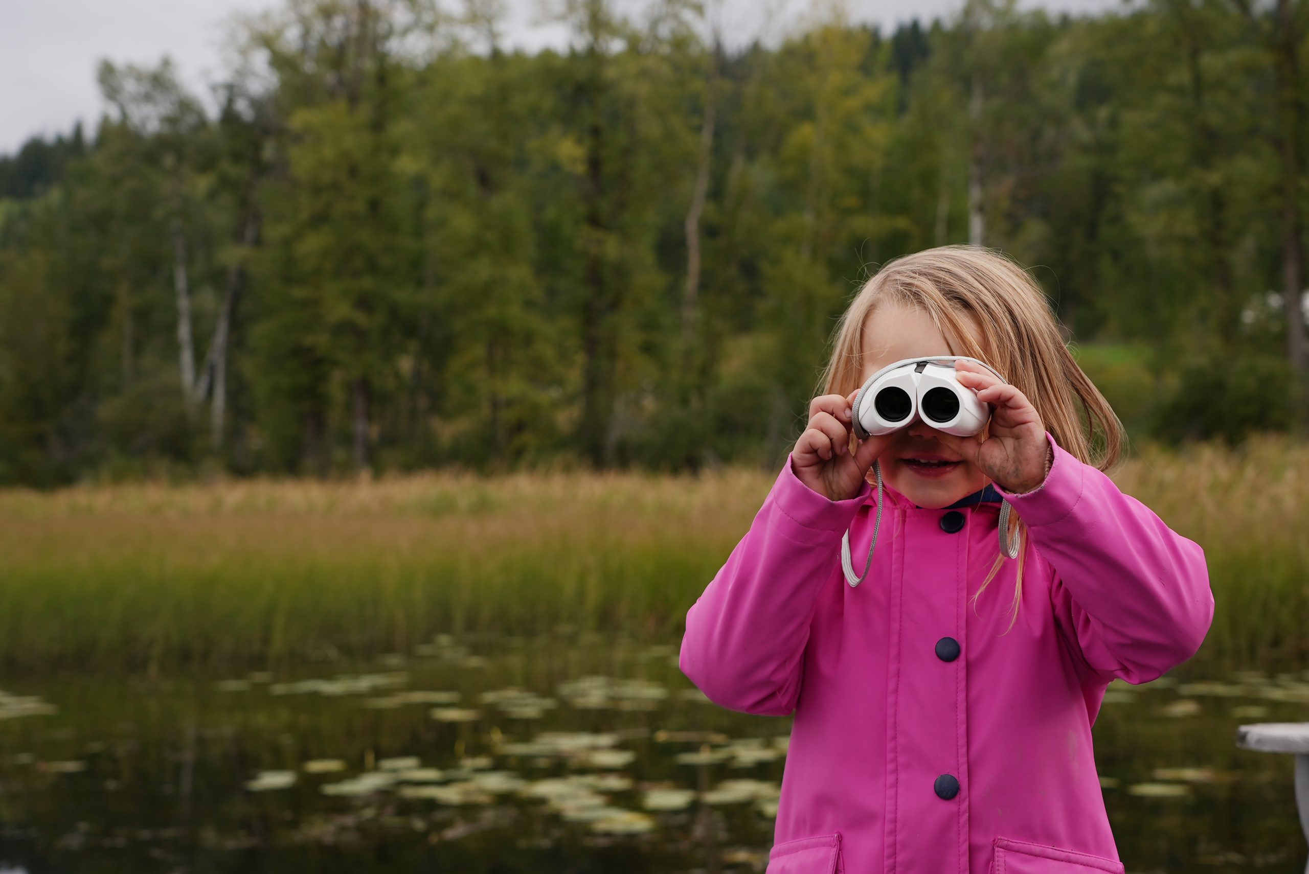 Summer Nature and Birding Activities For Kids - The BC Bird Trail
