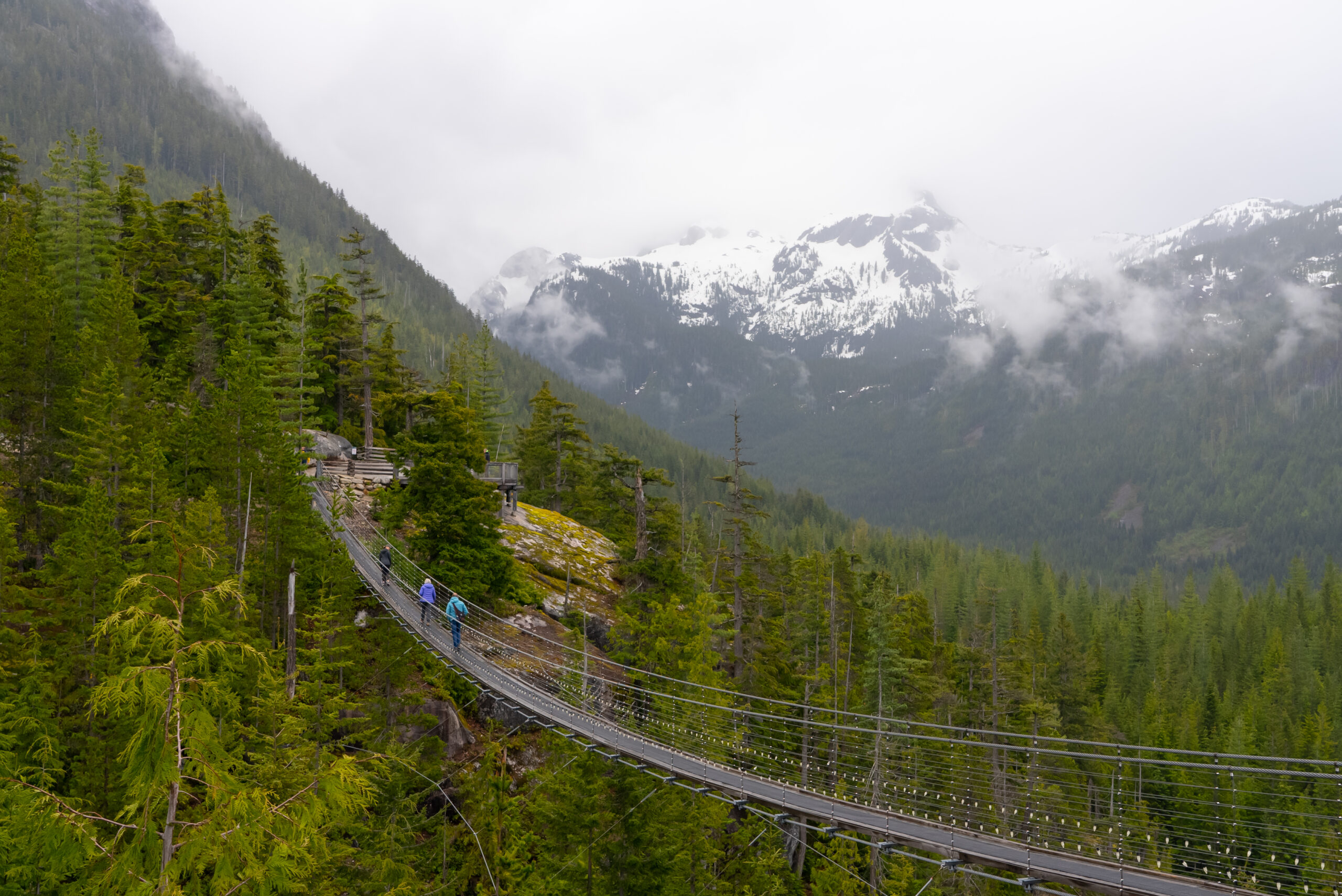 The BC Bird Trail - Look Up, Stay Grounded