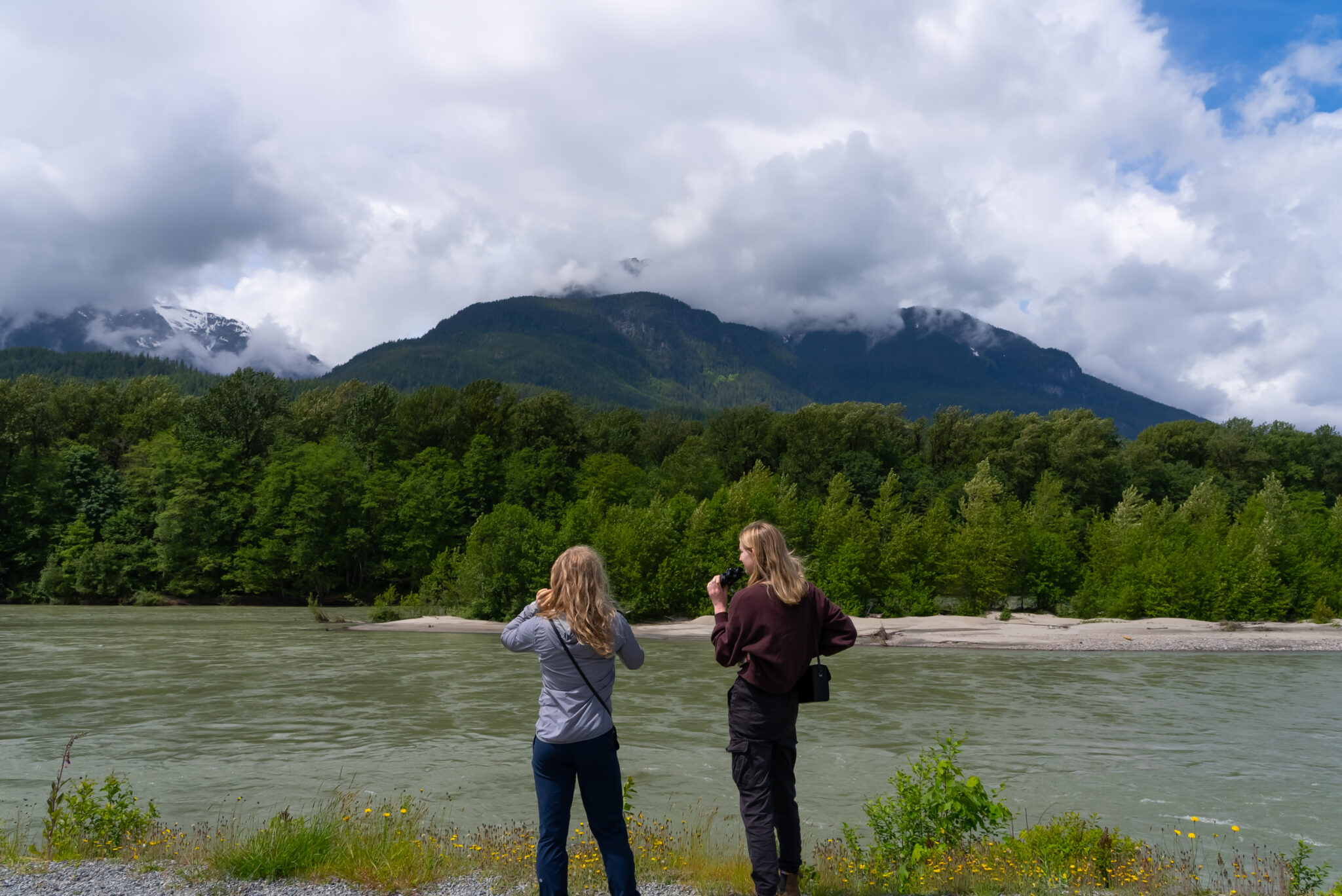 Exploring the Sea to Sky Bird Trail - The BC Bird Trail