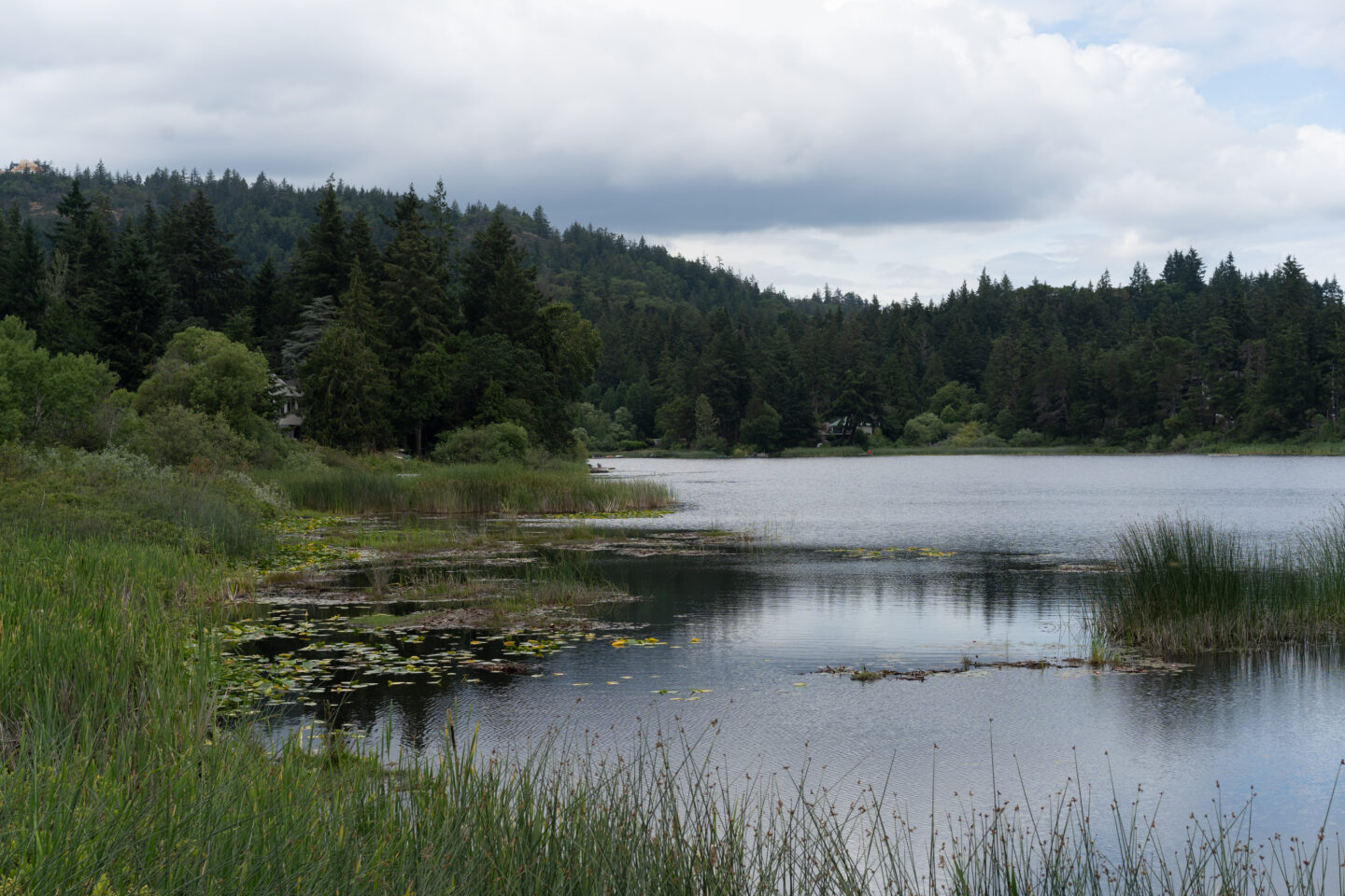 Langford - The BC Bird Trail - Look Up, Stay Grounded