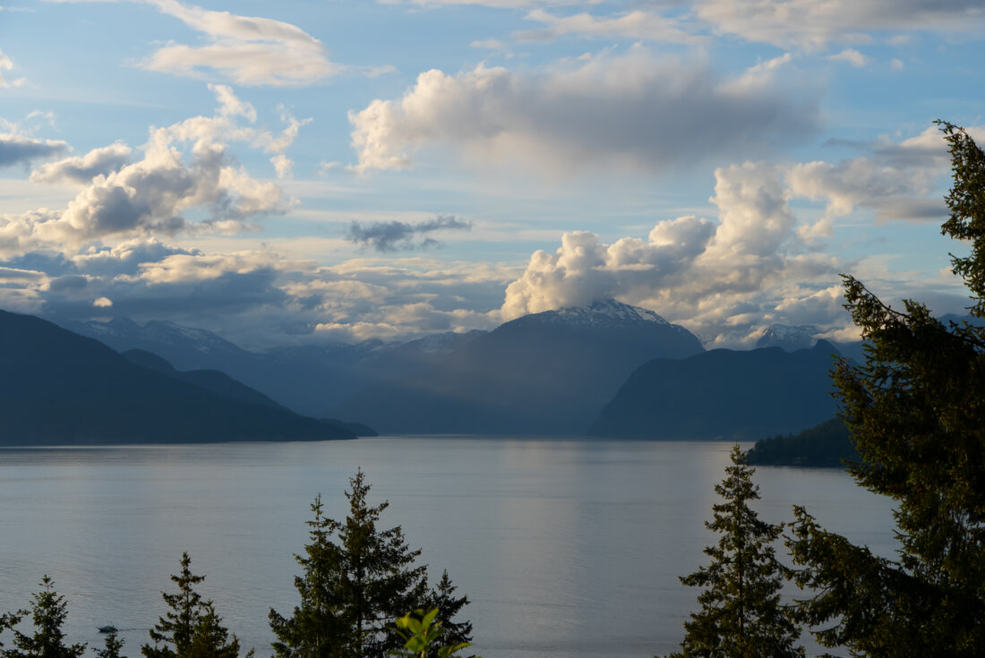 Exploring the Sea to Sky Bird Trail - The BC Bird Trail