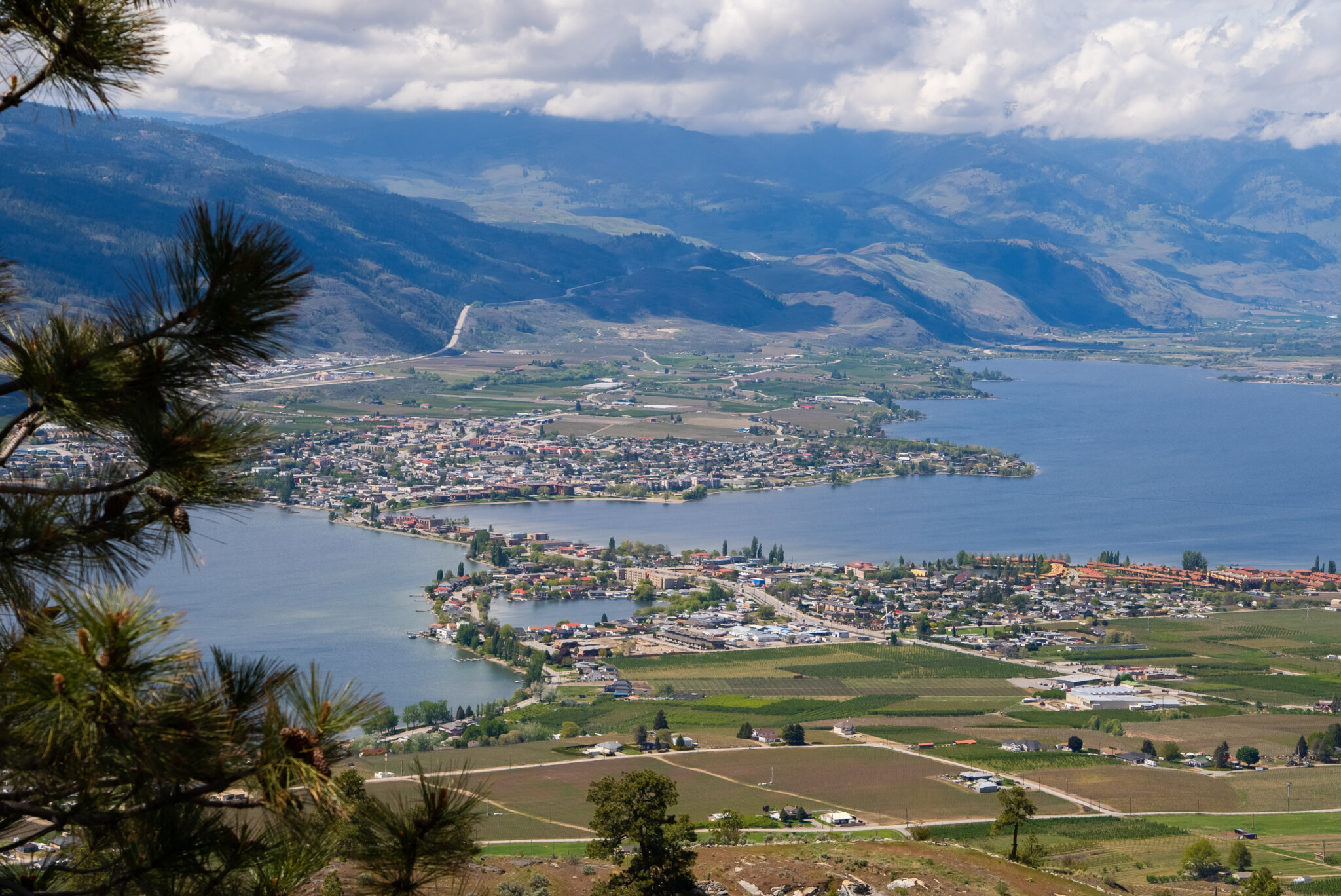 Osoyoos - The BC Bird Trail - Look Up, Stay Grounded