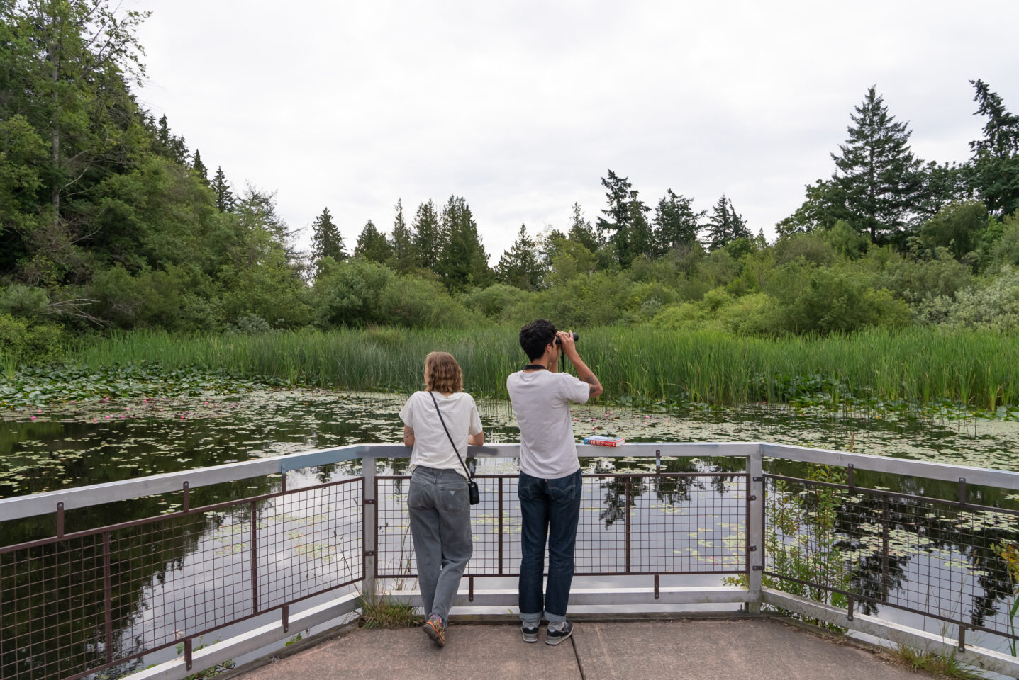 Langford - The BC Bird Trail - Look Up, Stay Grounded