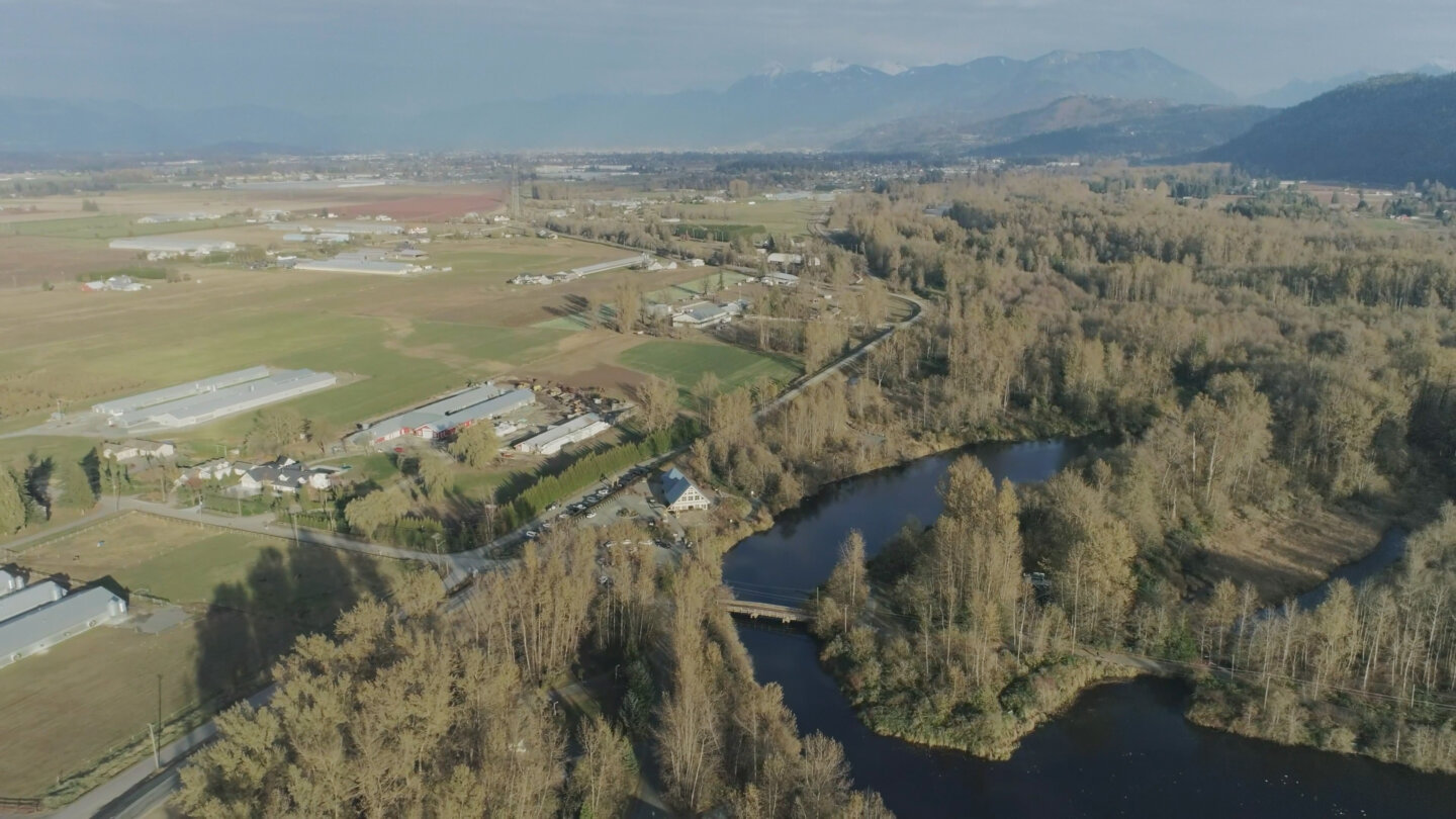 Stories from The BC Bird Trail Vol. 2 - The BC Bird Trail