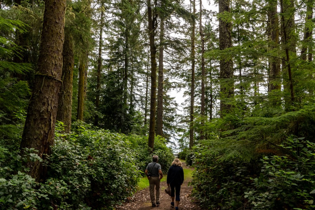 Sointula and Alert Bay - The BC Bird Trail