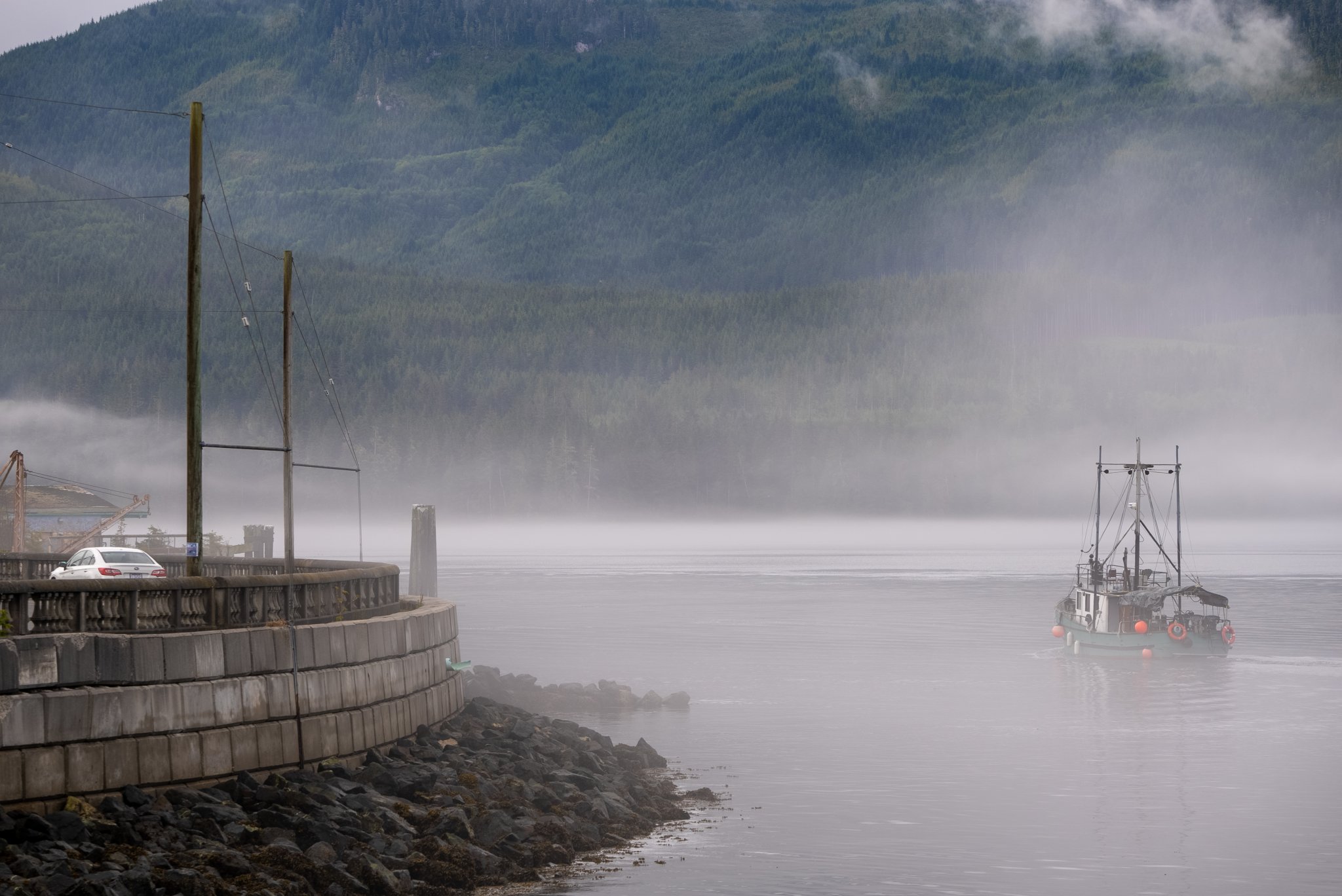 Sointula and Alert Bay - The BC Bird Trail