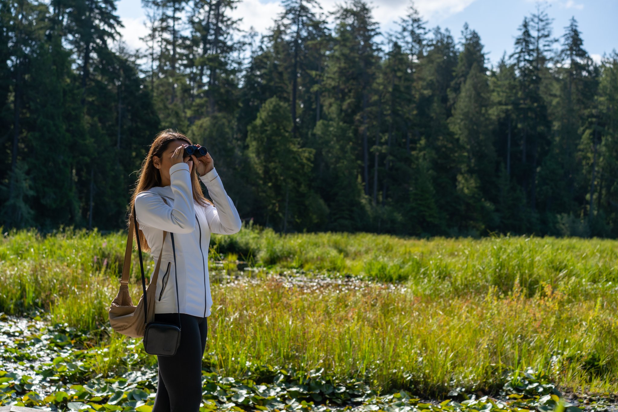 Vancouver - The BC Bird Trail