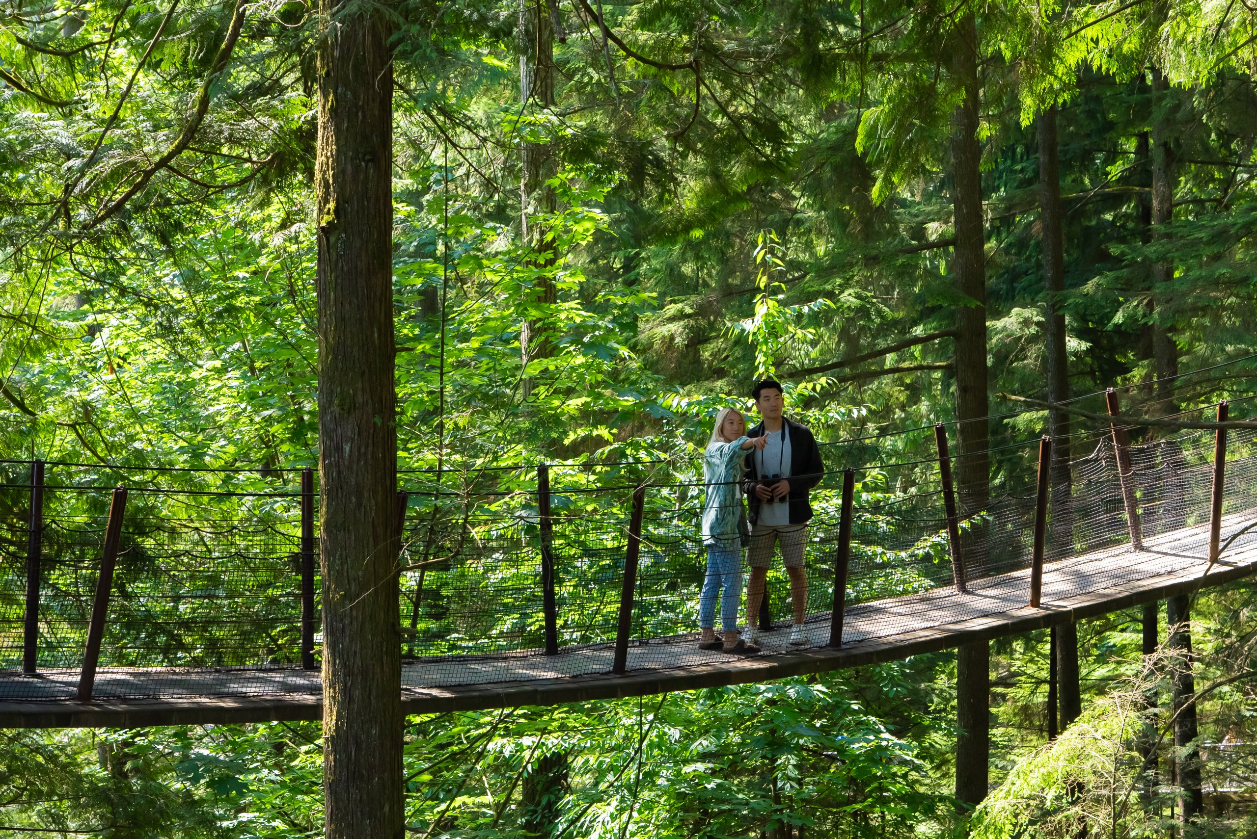 Vancouver's North Shore - The BC Bird Trail