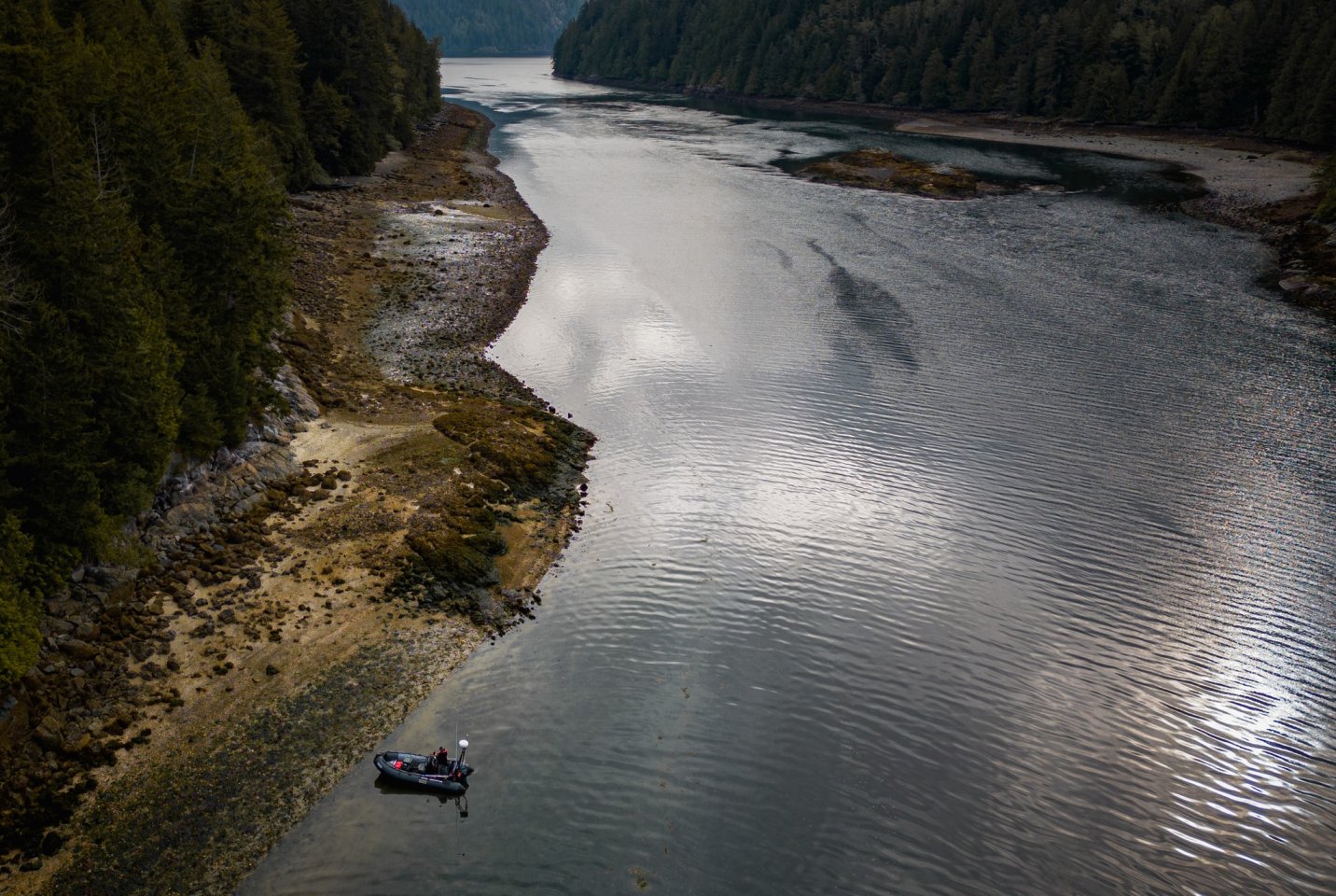 A Bucci Photography Tours - The BC Bird Trail