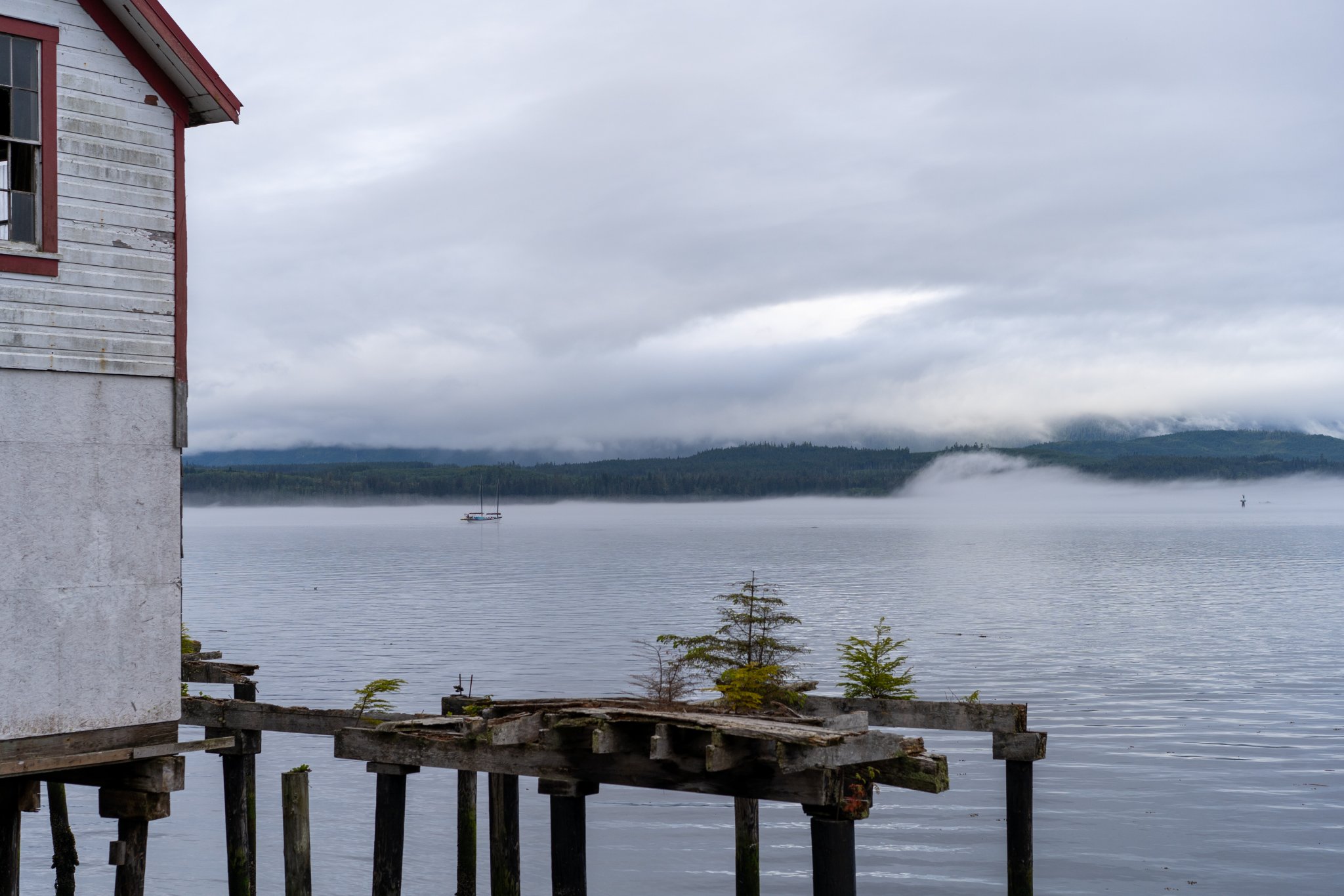 Sointula and Alert Bay - The BC Bird Trail