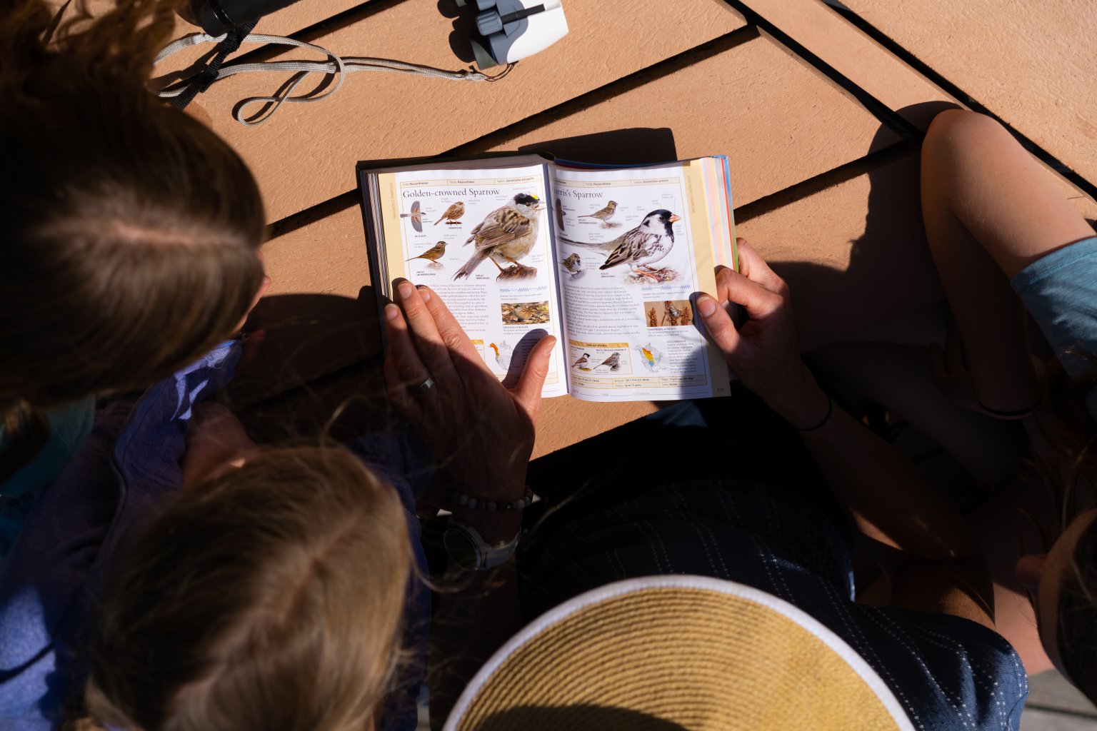 Birding 101: Identifying Birds By Sound - The BC Bird Trail
