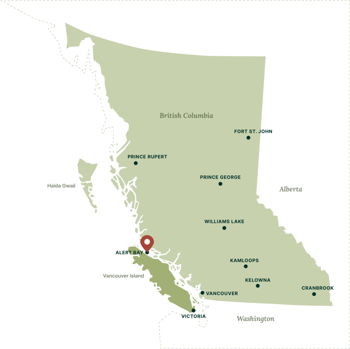 Sointula and Alert Bay - The BC Bird Trail