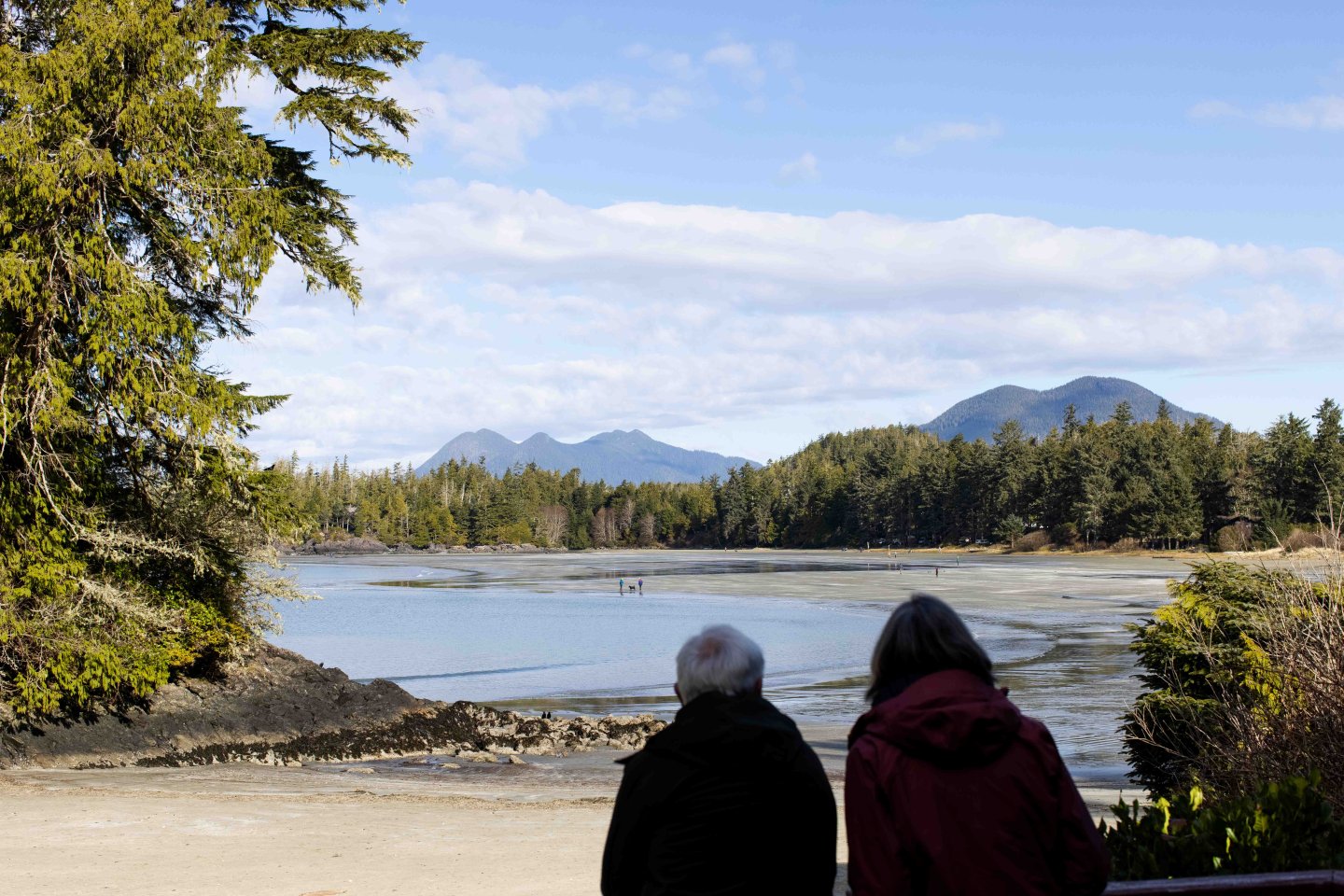 Tofino - The BC Bird Trail
