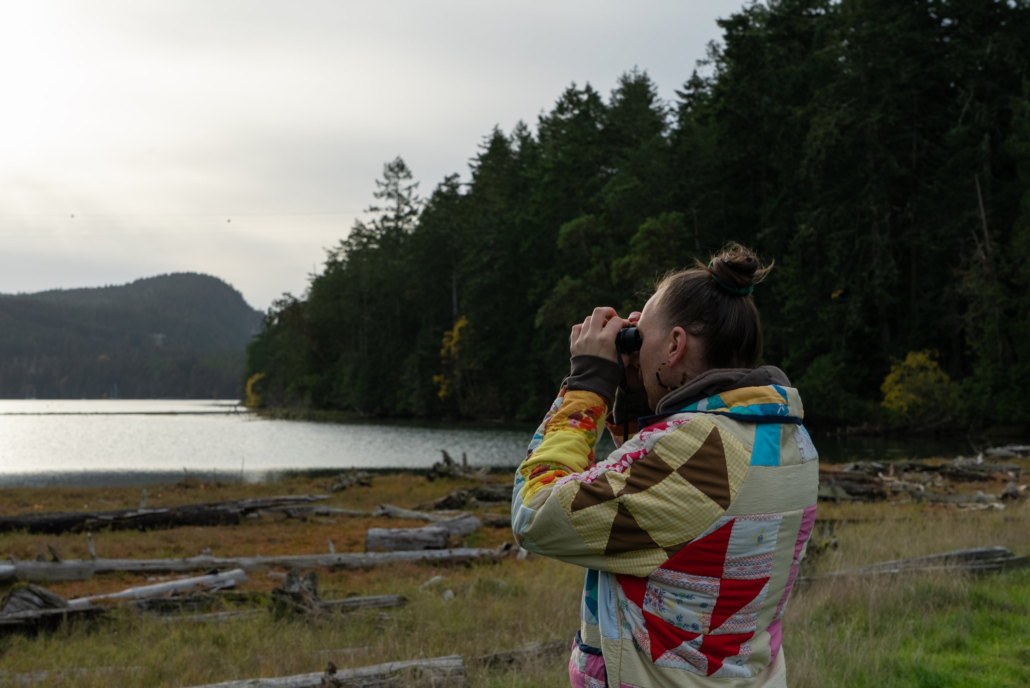 Birding 101 Archives - The BC Bird Trail