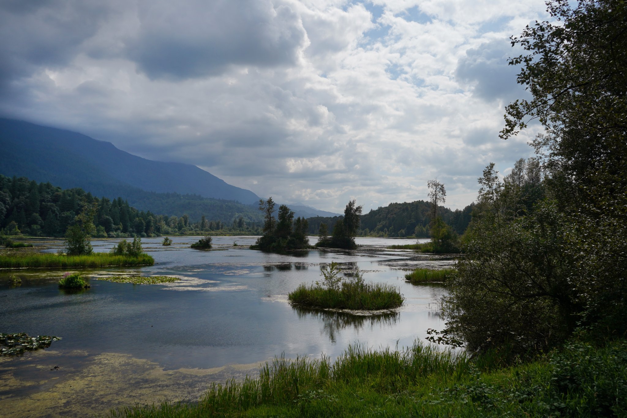 Birding Hotspots in the Lower Mainland - The BC Bird Trail