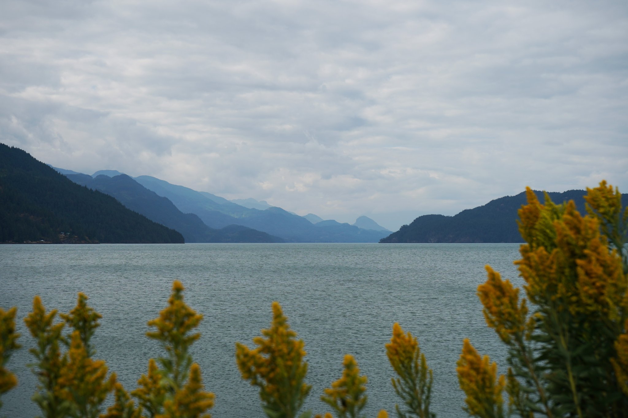 Birding Hotspots in the Lower Mainland - The BC Bird Trail