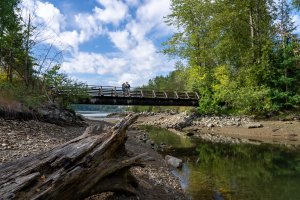 Birding Hotspots in the Lower Mainland - The BC Bird Trail
