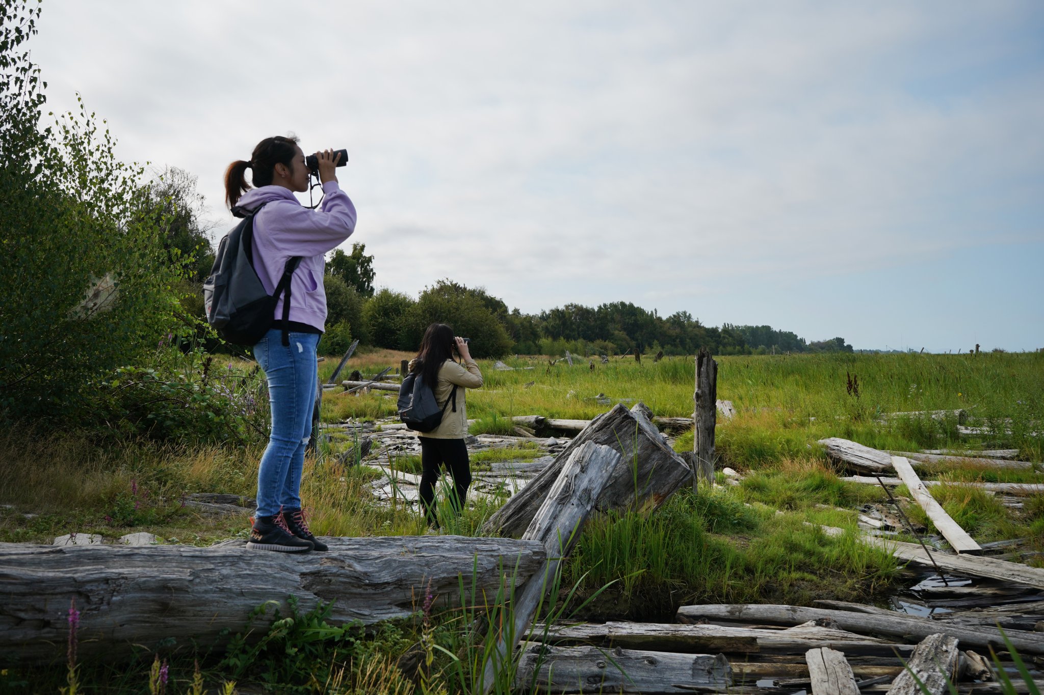 Birding 101: Identifying Birds By Sound - The BC Bird Trail