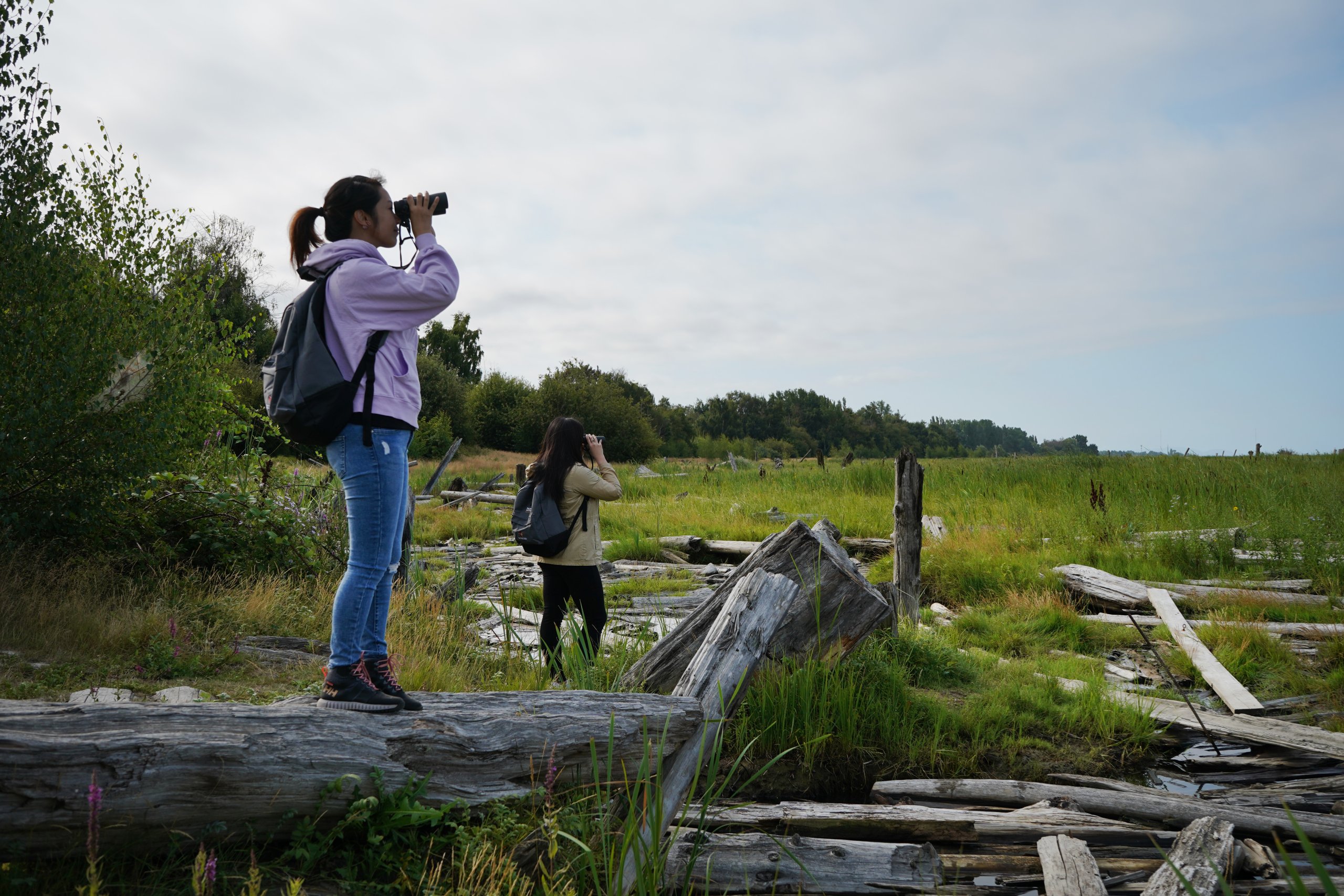 Birding 101: Birding Glossary - The BC Bird Trail