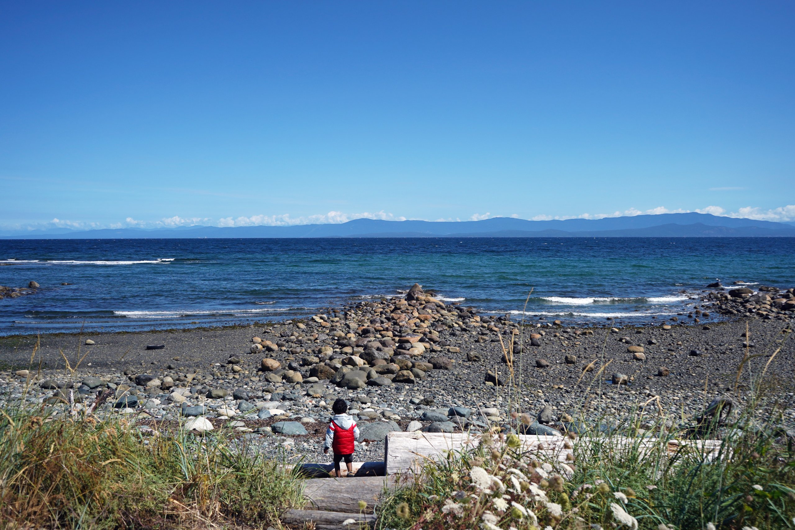 BC Birders Profile Series –Ceri Peacey, Qualicum - The BC Bird Trail