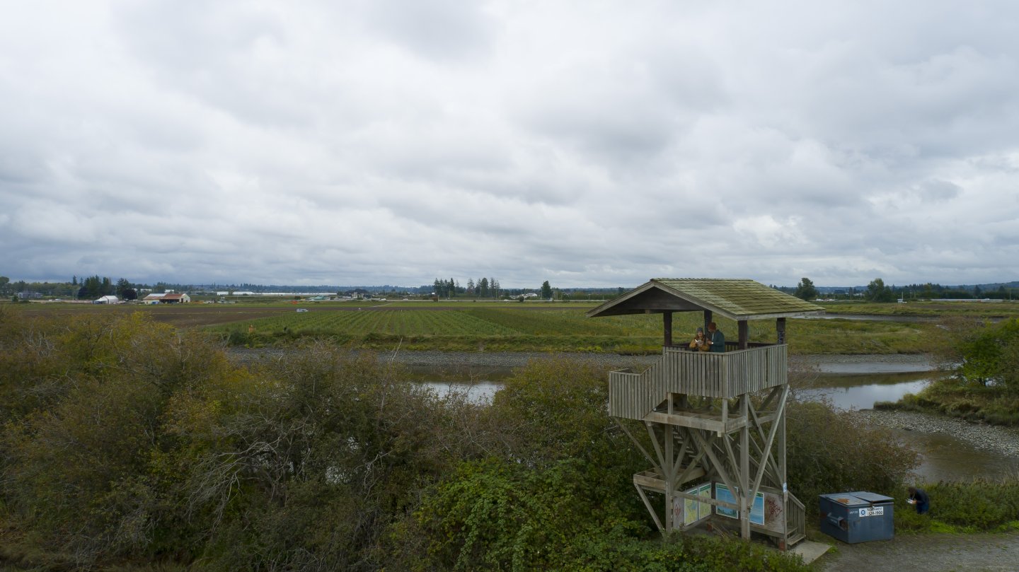Birding Hotspots in the Lower Mainland - The BC Bird Trail