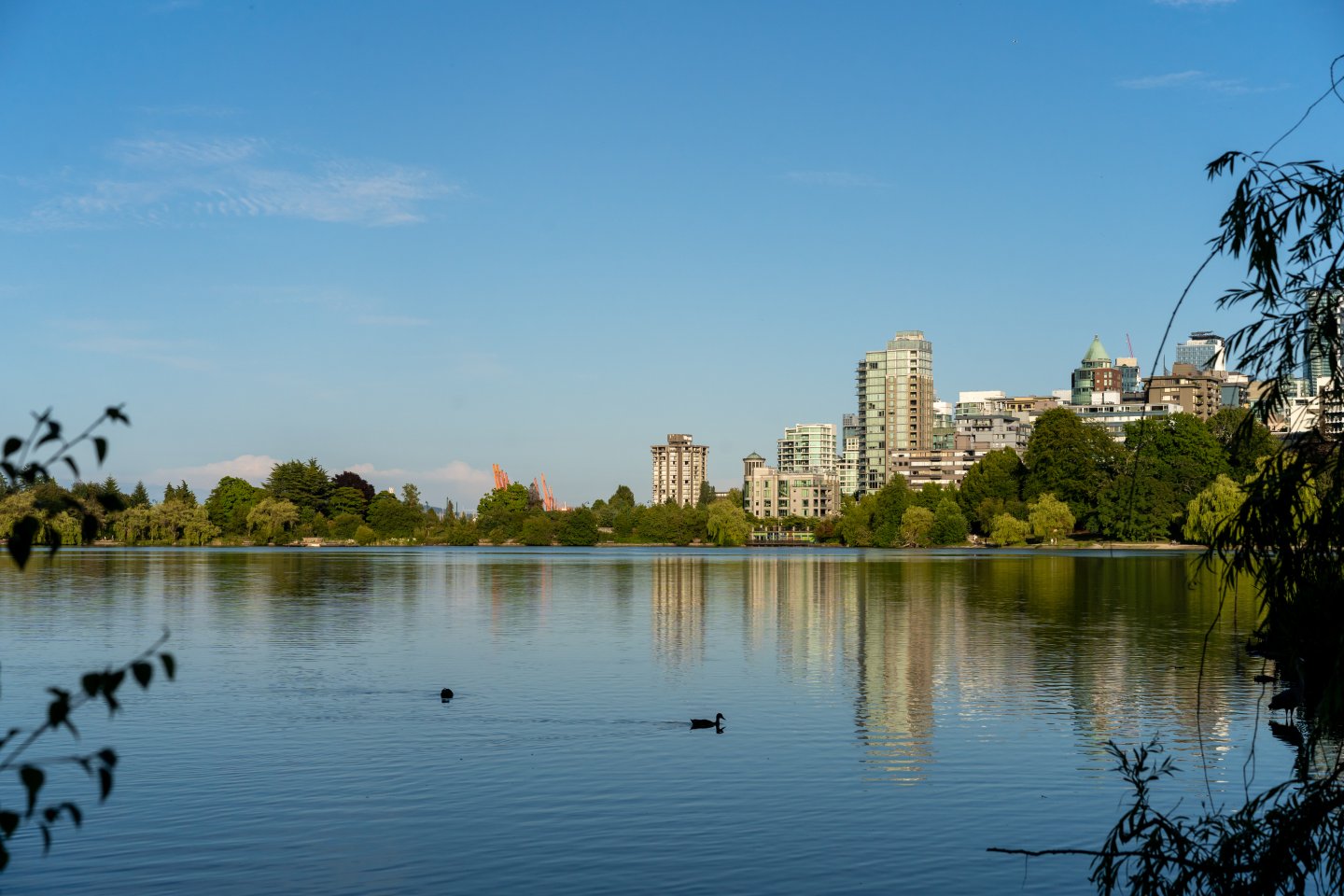 Birding Hotspots in the Lower Mainland - The BC Bird Trail