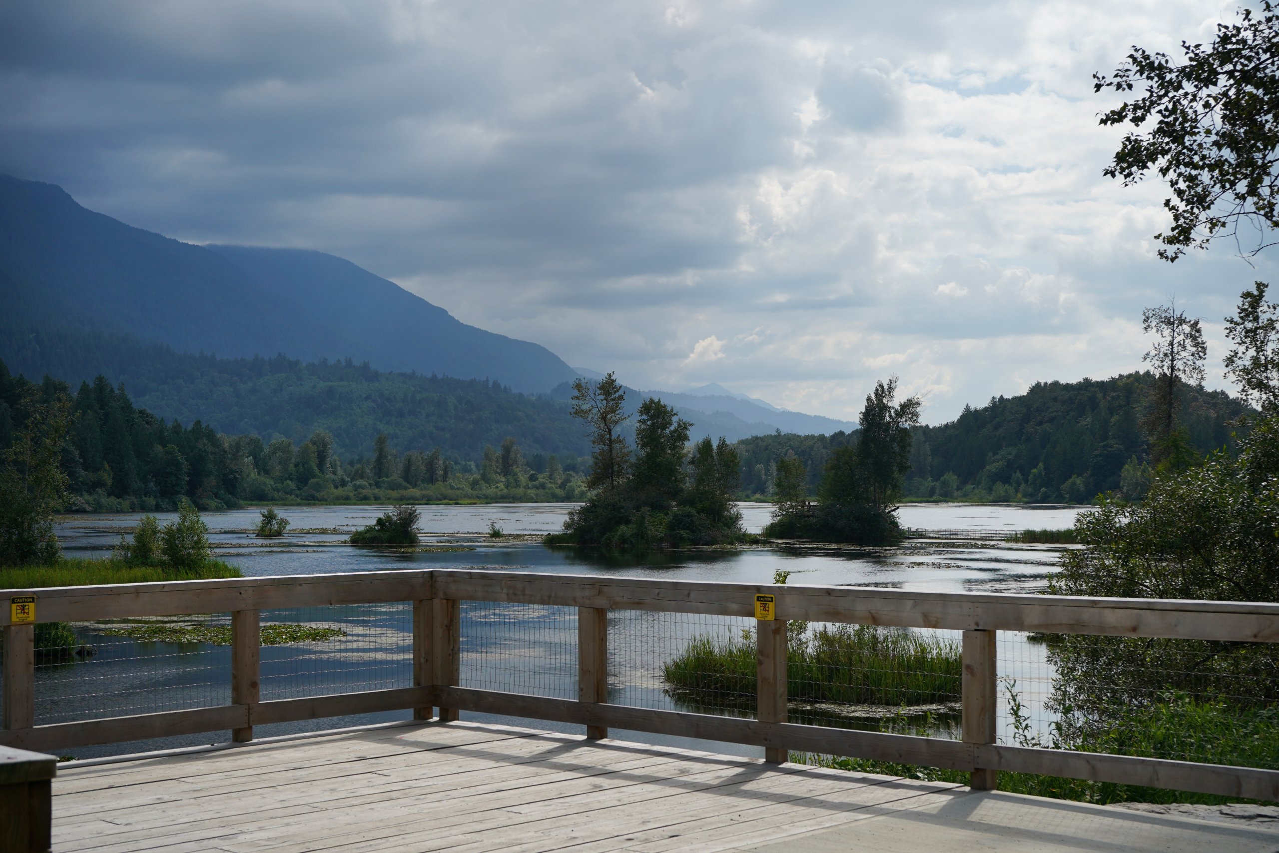 Birding Hotspots in the Lower Mainland - The BC Bird Trail