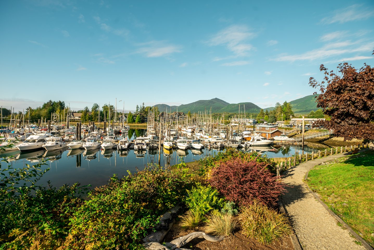 Ucluelet - The BC Bird Trail