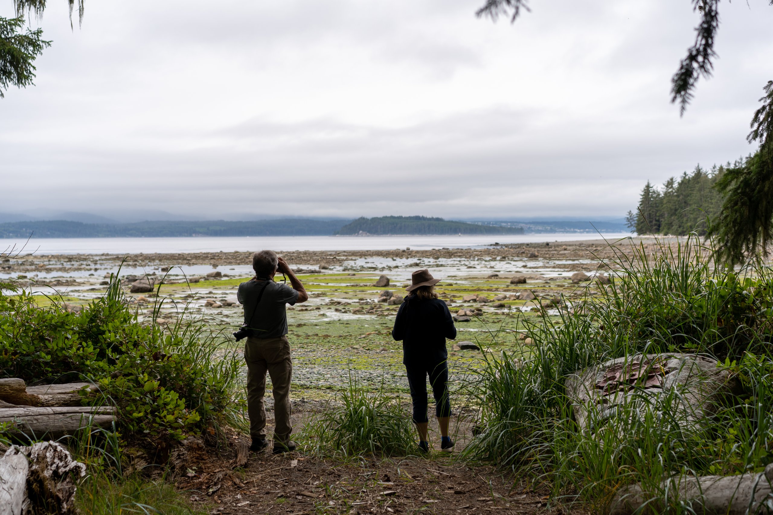 BC Birders Profile Series – Gord Curry, Sointula - The BC Bird Trail