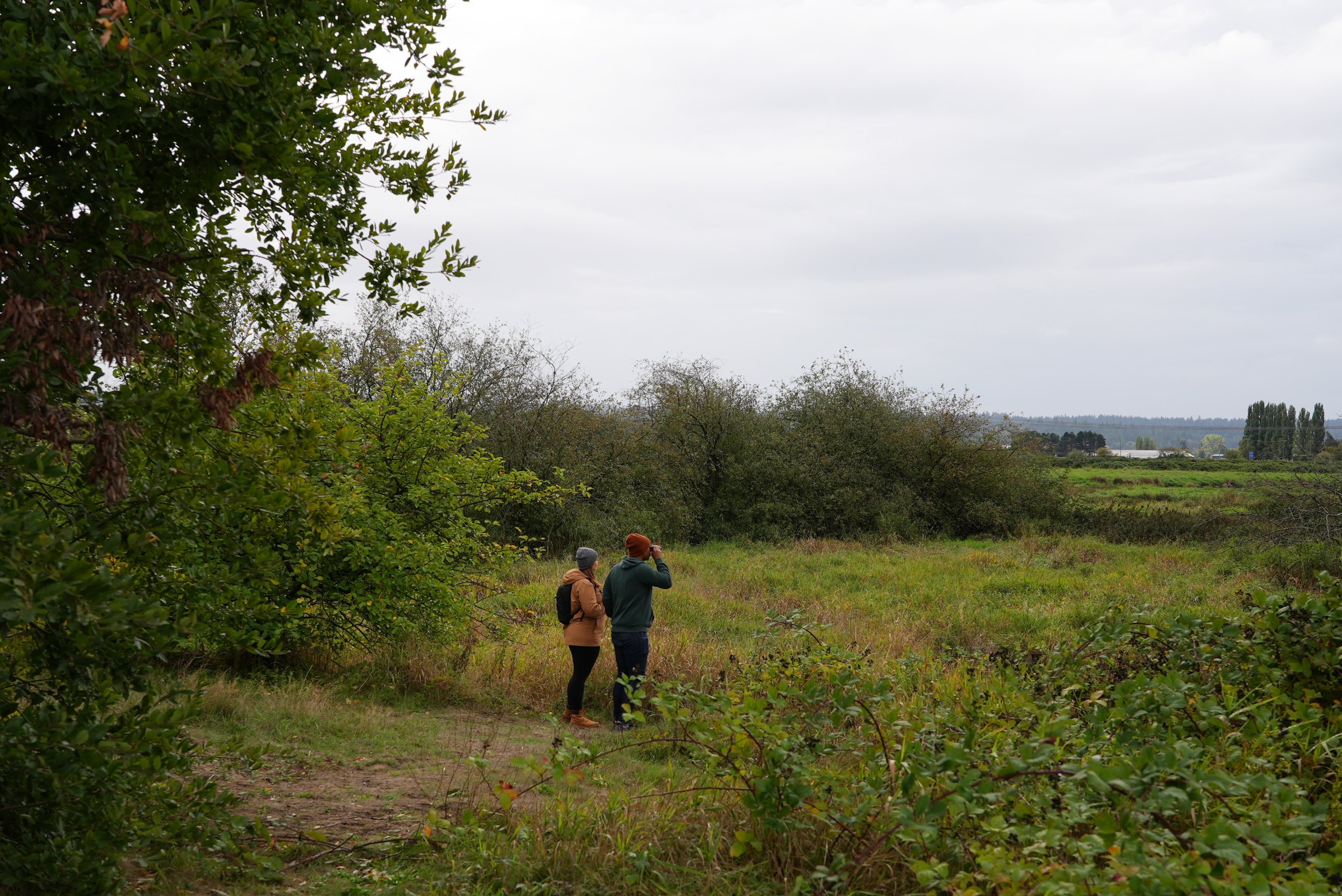 Introducing the Surrey Scavenger Hunt - The BC Bird Trail